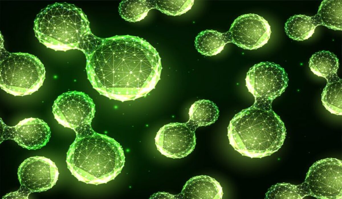 共創力量永續海洋 綠色承諾守護世代《大學永續USR x SDGs週報》【第192期】 | 台灣永續能源研究基金會