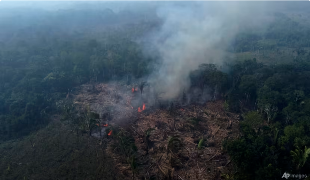 轉型趨勢未來引導 植生淨化綠能地球《大學永續USR x SDGs週報》【第205期】 | 台灣永續能源研究基金會